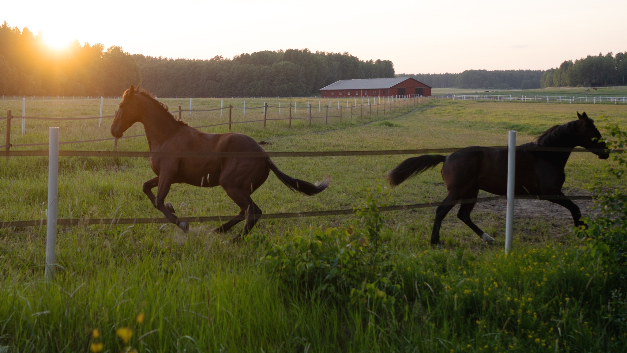 Återvinning på fast schema från miljörum och kontor | Wayoo
